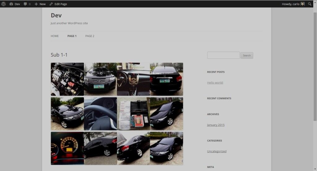 Gallery Plugin for Advanced Custom Fields - Carlo Fontanos